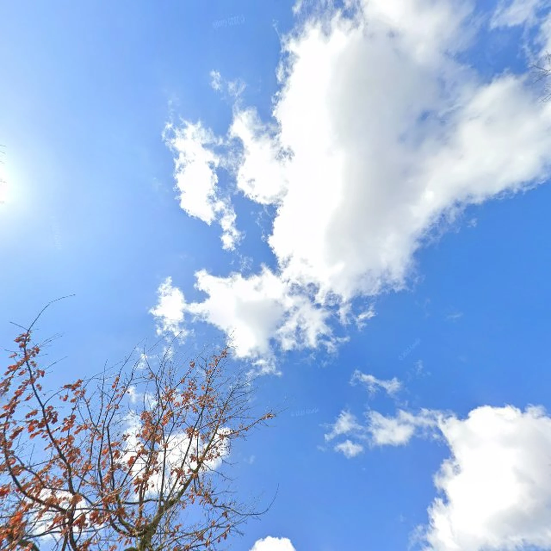 Kringloopwinkel 2Switch Elst - Kringloopwinkel in Elst