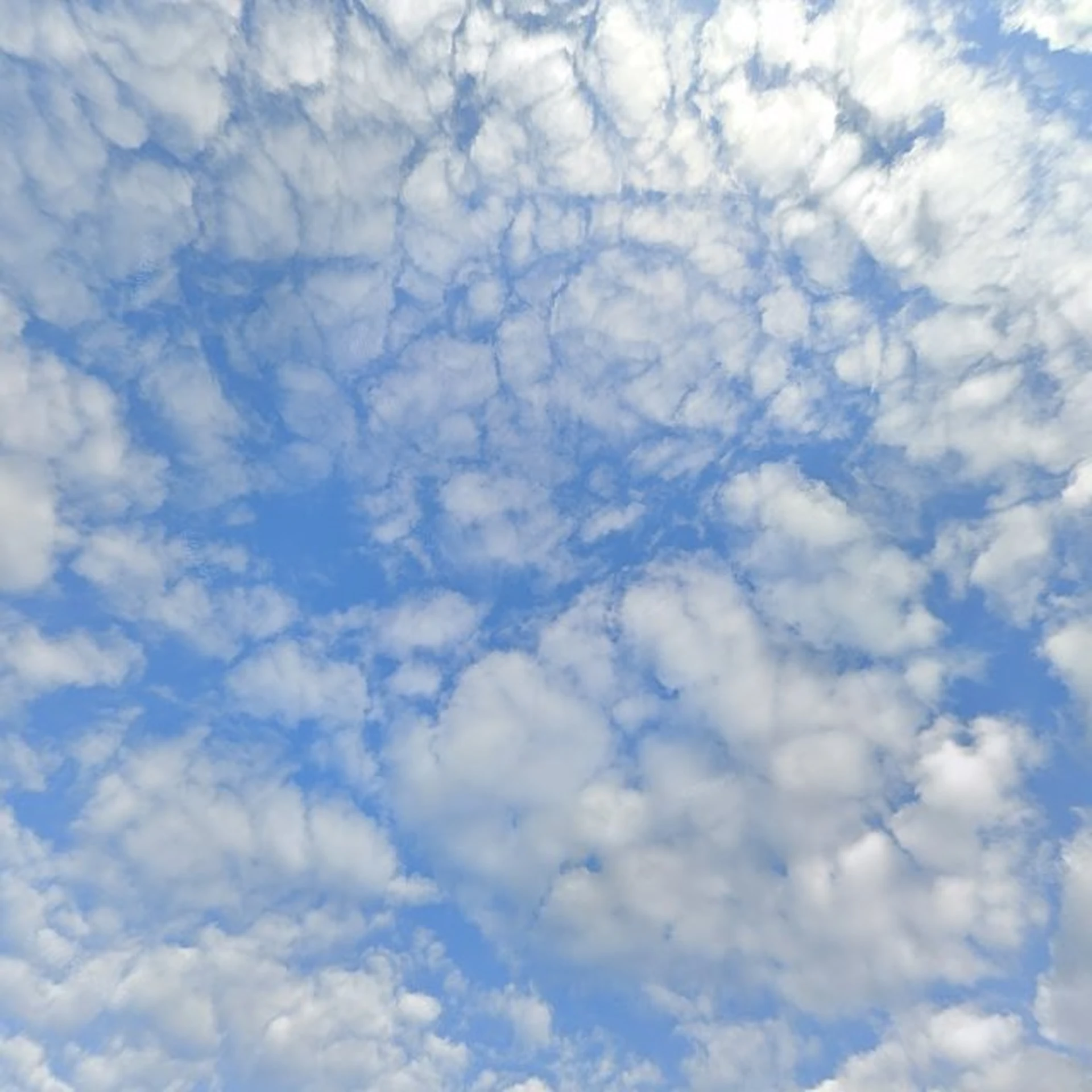 Kringloopwinkel RataPlan Arnhem - Openingstijden & Reviews